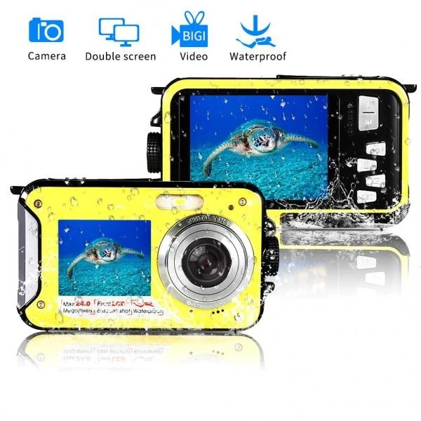 Professional Waterproof 1080P Full HD Digital Dual Screen Underwater ...