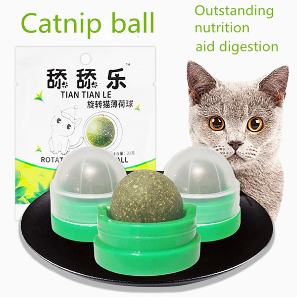 Home Wall-Mountable Rotary Help Digestive Solid Nontoxic Nutrition Delicious Plant Formula ...