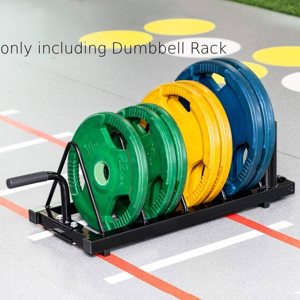 Parallel Movable Dumbbell Rack Holder Olympic Bar Storage Rack with ...