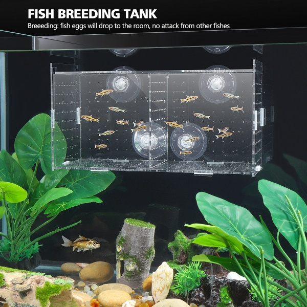 Transparent Acrylic Fish Breeding Tank Isolation Box Aquarium Incubator ...