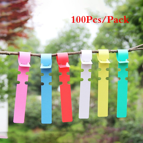 100Pcs/set Plastic Stake Tied Tag Court Lawn Seed Labels Plant Pot ...