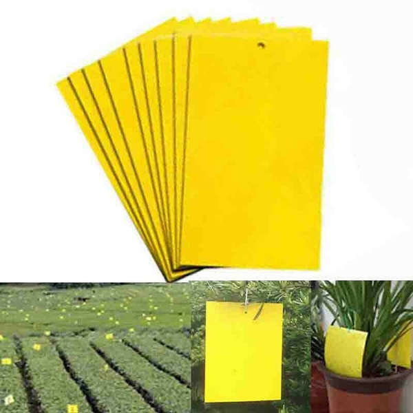 5/10pcs Sided Sticky Fly Paper Yellow Traps Fruit Flies Insect Glue ...