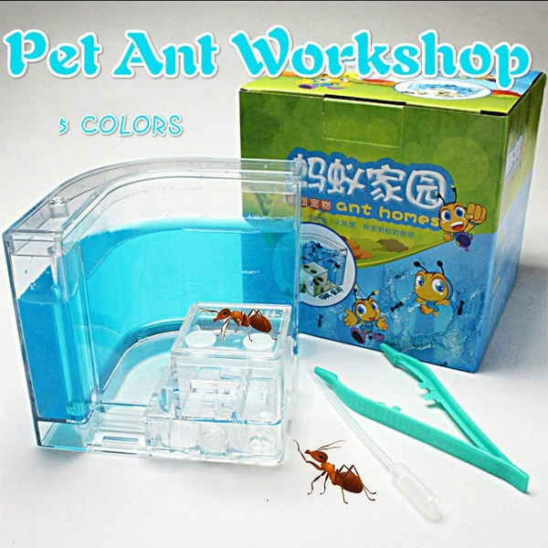 1PC Creative and Interesting Ant Home Ant Workshop | Wish