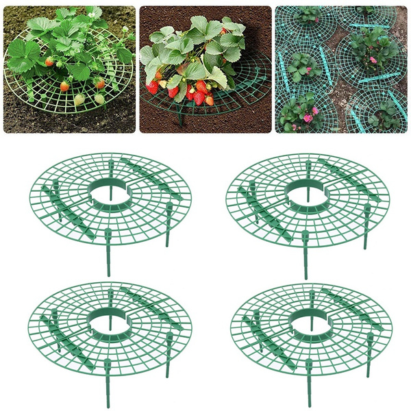 2/5 PCS Strawberry Stand Vegetable Frame Holder Balcony Planting Rack ...