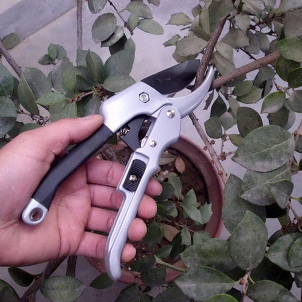 20cm Ratchet Plant trim horticulture Hand pruner cut Shear Orchard ...