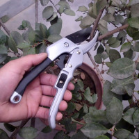 20cm Ratchet Plant trim horticulture Hand pruner cut Shear Orchard ...