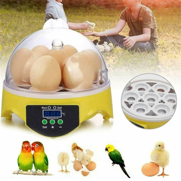 Duck Bird Chicken Egg Incubators Temperature Automatic Digital 7 Eggs Hatcher | Wish