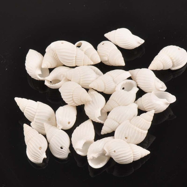 50pcs White Natural Spiral Shell For Scrapbook Craft Seashells Beads ...