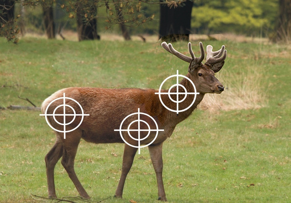 15 Pcs Mule Deer Paper Shooting Targets Gun Range Target Hunting ...