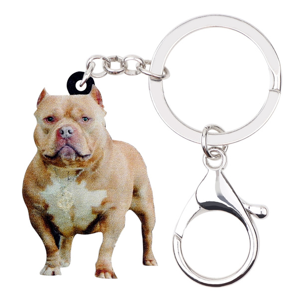 Acrylic American Pit Bull Terrier Dog Keychains Key Rings Jewelry ...