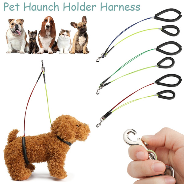 Adjustable No-Sit Pet Haunch Holder Dog Cat Grooming Restraint Loop ...