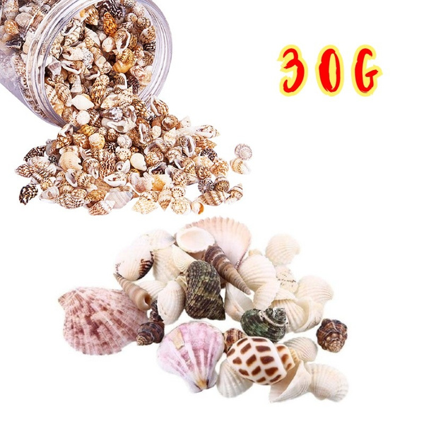 Mixed Acrylic Sea Shells Shell Craft Aquarium Decor Ornaments Conch 30G ...
