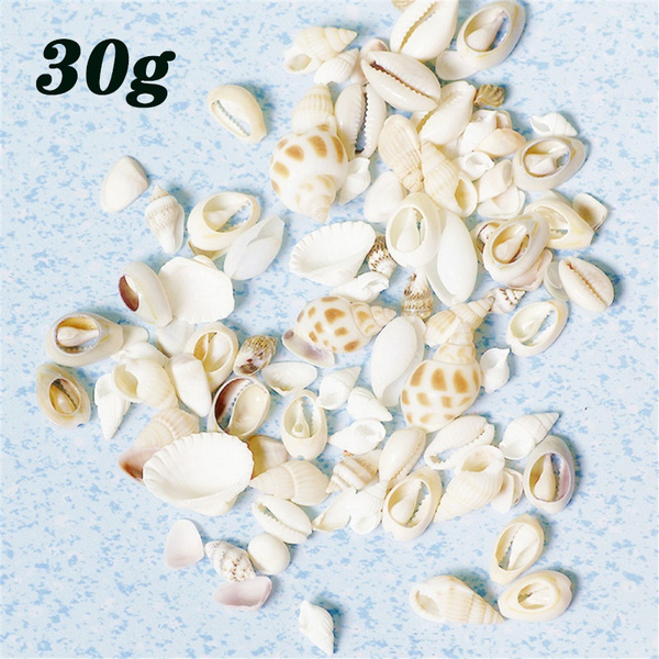 1 Bag (30g) Small Miscellaneous SeaShells Mix Sea Conch Clam For ...