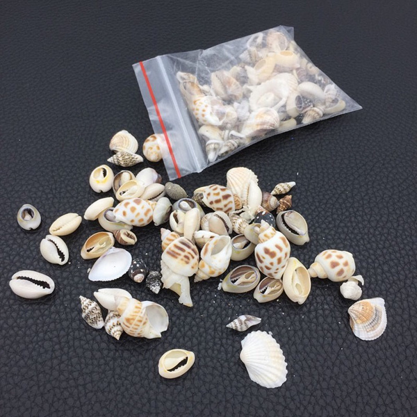 1 Bag 30g Funny Mixed Sea Shells Shell Craft Aquarium Nautical Decor ...