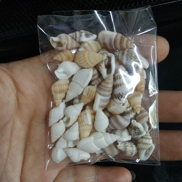 Small 1 Bag(30g) Beach Mixed Sea Shell Real Sea Shell Mix Sea Shell ...