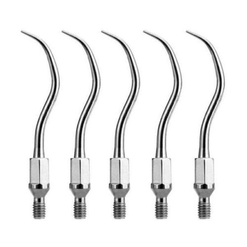 5pcs New Dental Ultrasonic Scaling Tips GK1 Fit KAVO Ultrasonic Scaler ...