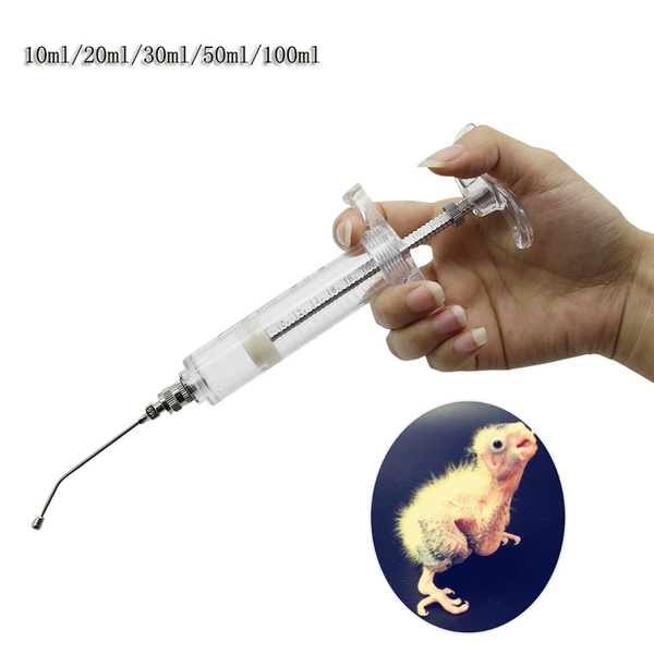Birds Feeding Syringe Manual Feeding Rearing Gavage Curved Needle ...