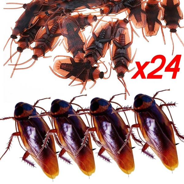 24 Pcs Special Lifelike Model Simulation Fake Rubber Cockroach Roach ...
