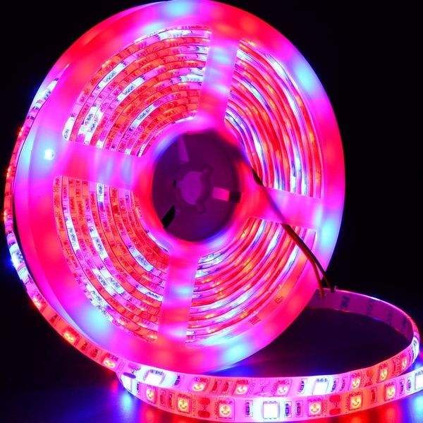 LED Grow Light Strip 12V 5050 300LED16FT Full Spectrum Grow Light Red ...