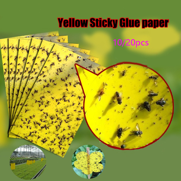 10/20pcs Yellow Sticky Glue paper Insect Trap Catcher Killer Fly Aphids ...