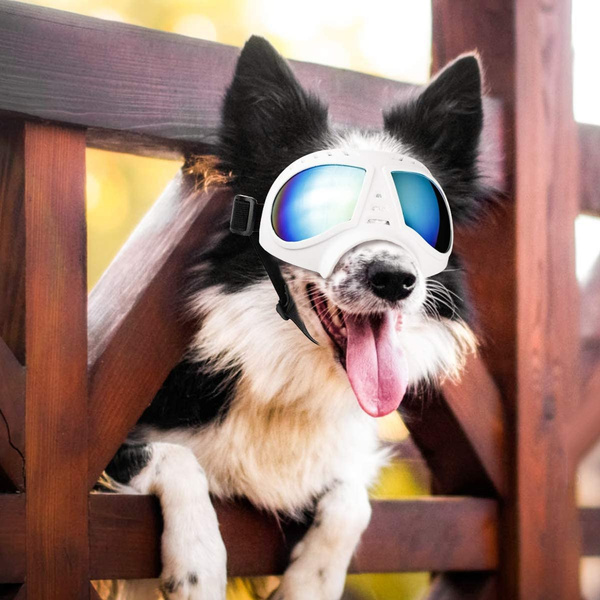 Large Dog Googles- Dog Eye Protection Sunglasses Snow Goggles for Large ...