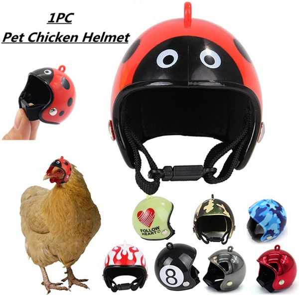 1PC Chicken Helmet Small Pet Hard Hat Bird Duck Quail Hat Headgear Pet ...