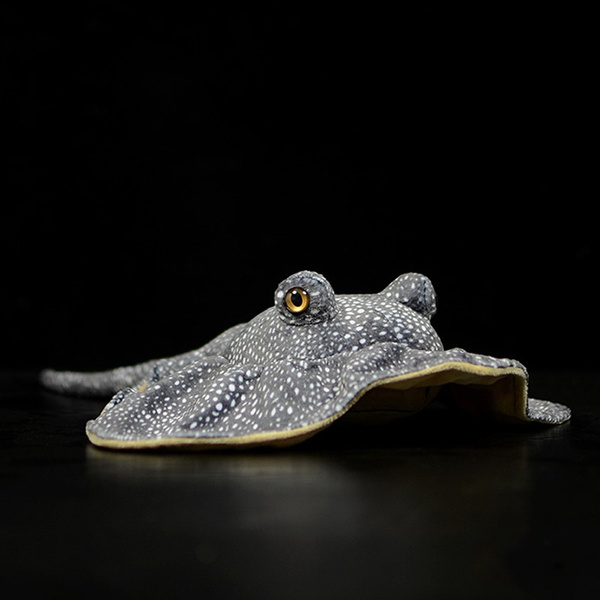 50cm Length Lifelike Honeycomb Stingray Plush Toy Real Life Soft Real ...