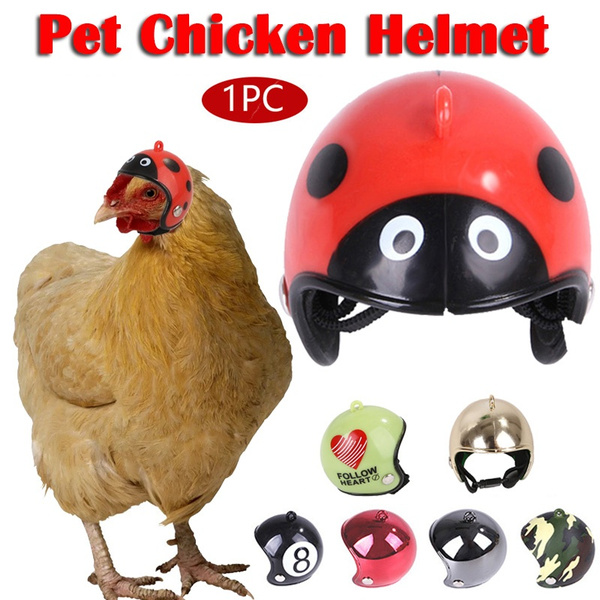 1 Piece Pet Chicken Bird Helmet Hard Funny Chicken Helmet Head Hat ...
