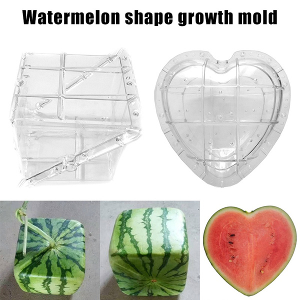 Watermelon Shaping Grow Mold Growth Forming Mold Fruit Shaping Mould ...