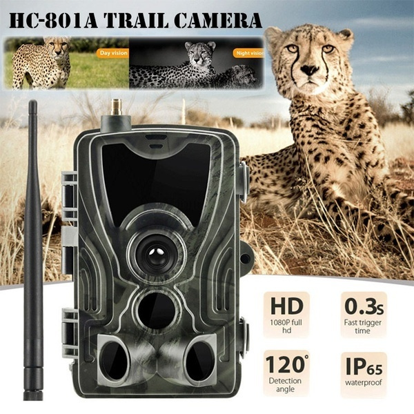 New 1080P 20MP Hunting Trail Camera Wildlife Scouting Night Vision IP65 ...
