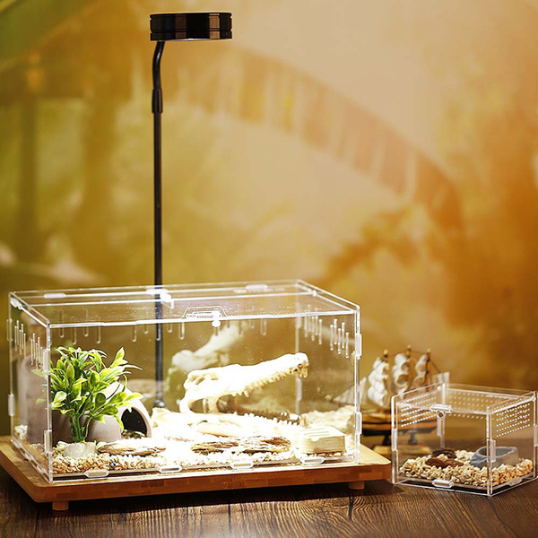 Transparent Reptile Insect Container Feeding Box Hatcher Frogs Breeding ...