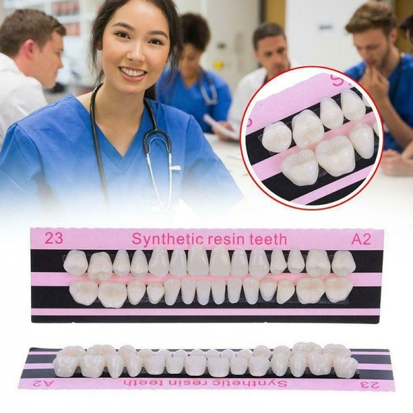 28 Teeth/1Set Resin Denture Dental Supplies Acrylic Upper Lower Tooth ...
