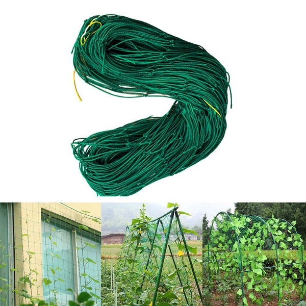 Garden Plant Trellis Netting Gardening Net Flower Vegetable Morning ...