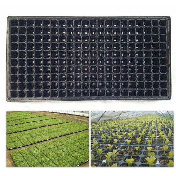 200 Cell Seedling Starter Tray Seed Germination Plant Propagation | Wish