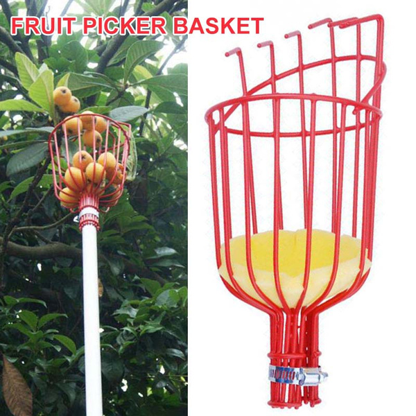 Fresh Orange Apple Peach Plum Pear Fruit Picker Basket For Broom Pole ...