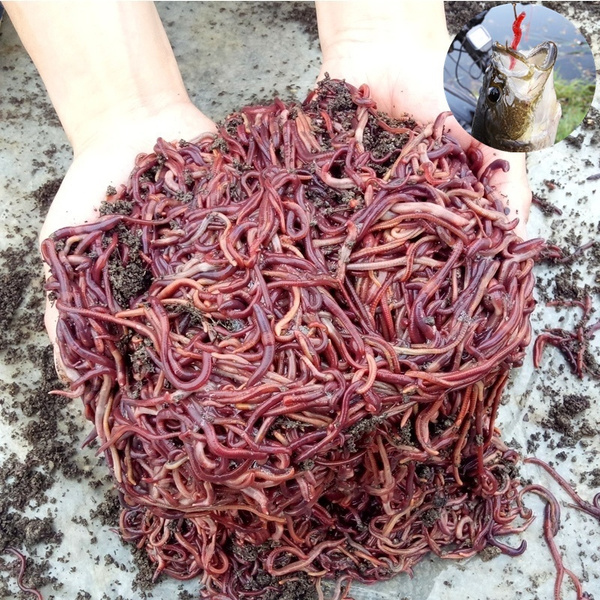 4cm Simulation Earthworm Worms Artificial Fishing Lure Tackle Soft Bait ...