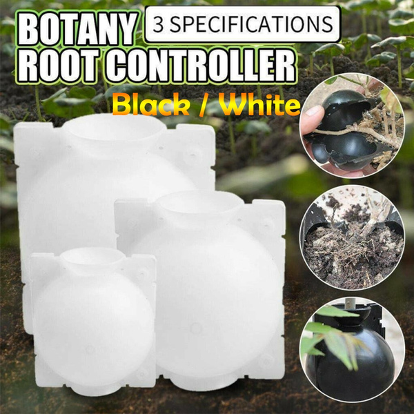 Plant Grafting Box Grafting Root Growth Breeding Box Plant Root System ...