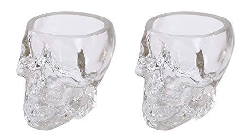 Ebros Gift Set of 2 Clear Translucent Acrylic Skeleton Skull Face ...