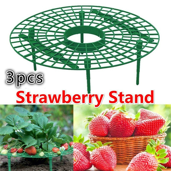 3pcs Strawberry Stand Frame Holder Balcony Planting Rack Fruit Support ...