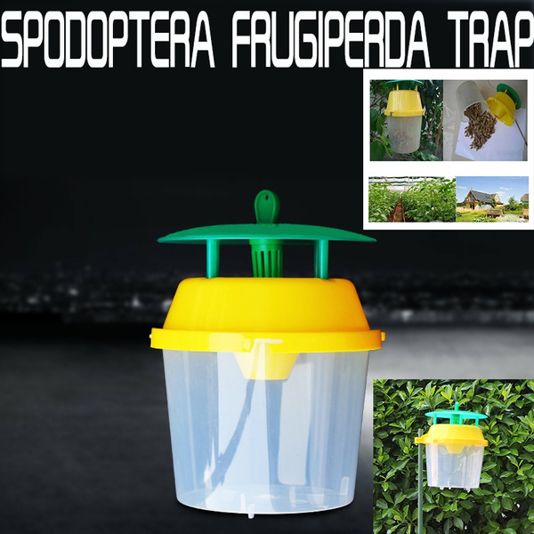 Spodoptera Frugiperda Trap Trap Barrel Trap Outdoor Fruit Fly ...