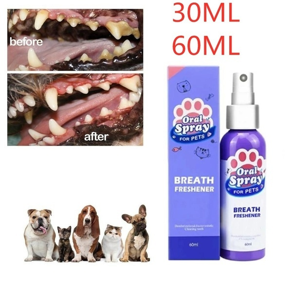 What Is The Best Dental Spray For Dogs