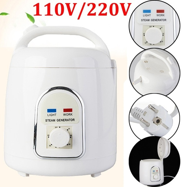 110V/220V 1.8L Portable Indoor Pot Steam Sauna Home Steamer Spa Skin ...