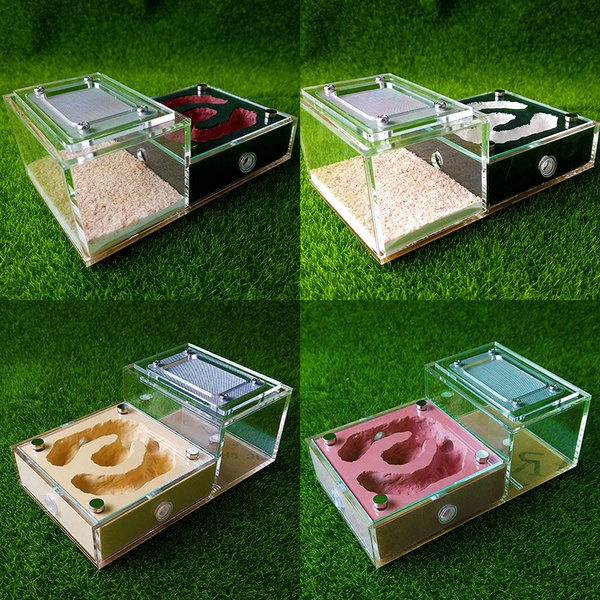 Plaster Concrete Ant Farm Natural Ecological Ant Nest Landscaping Ant ...