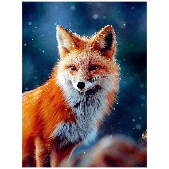 D Diamond Painting Fox Full Diamond Embroidery Animals Mosaic ...