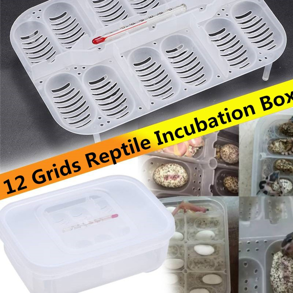 Plastic Gecko Snakes Lizards Reptiles Eggs Breeding Incubator Tray ...