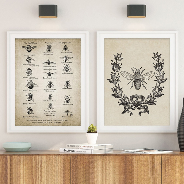 Vintage Bees Poster Bumblebees Flies Print Insect Illustration ...