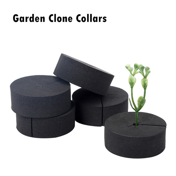 50Pcs Foam Inserts Garden Clone Collars for Hydroponics Cloning Plant ...