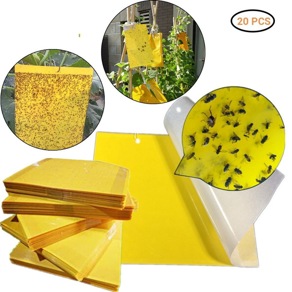 Flies Catchers Traps Bugs Sticky Board Catching Aphid Insects Pest ...