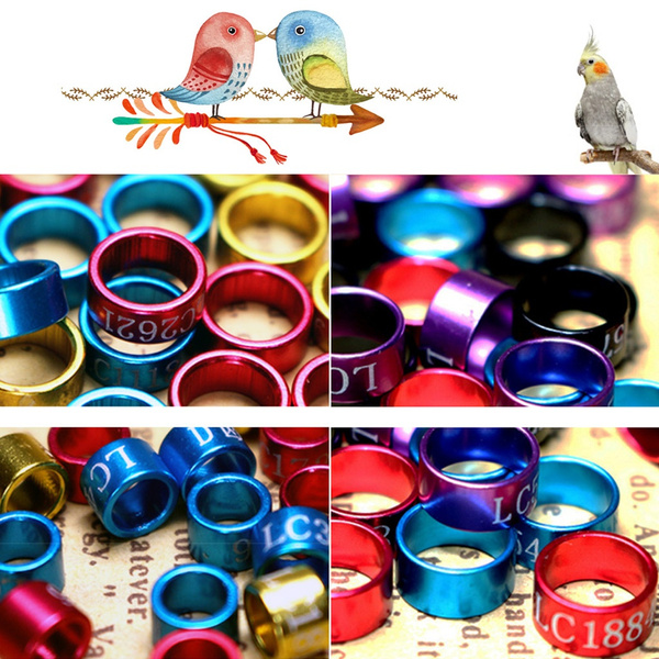 50 Pcs Mix Color Bird Foot Ring Bands Clip on Leg Rings for Pigeon Dove ...
