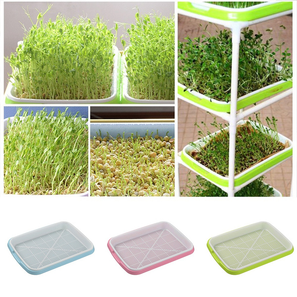 Seed Sprouter Tray Dual Layer Nursery Wheatgrass Grower For Garden Home ...